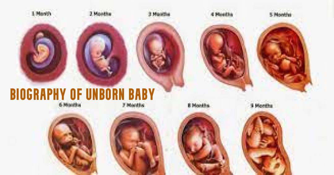 What Are Changes Of The Unborn - Ailcare