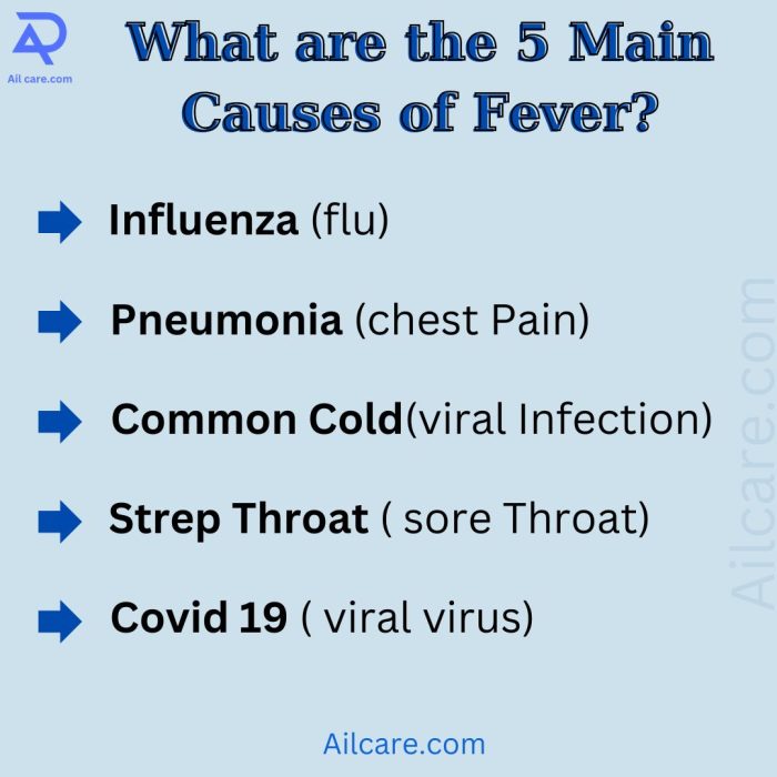 What are the 5 Main Causes of Fever? - Ailcare